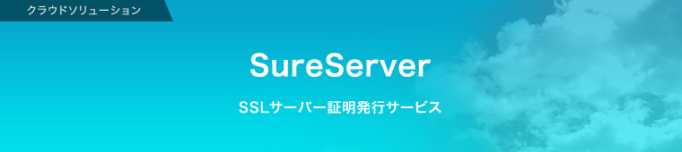 SureServer | ダイナブック
